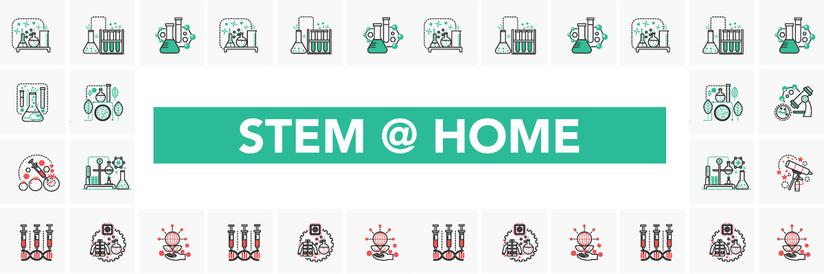 STEM at HOME-Summer STEM