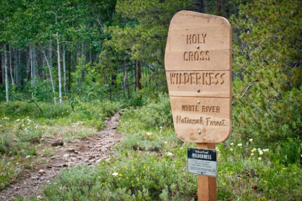 What is Wilderness?