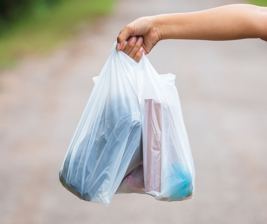 The Bag Ban: Everything You Need to Know!