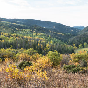 Hike Of The Week: Top Five Fall Color Hikes